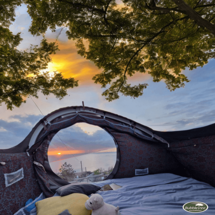 Bubble tree - TinyRoom®